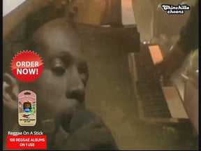 Reggae On A Stick - 100 Reggae Albums On 1 USB | – Chinchilla Choons